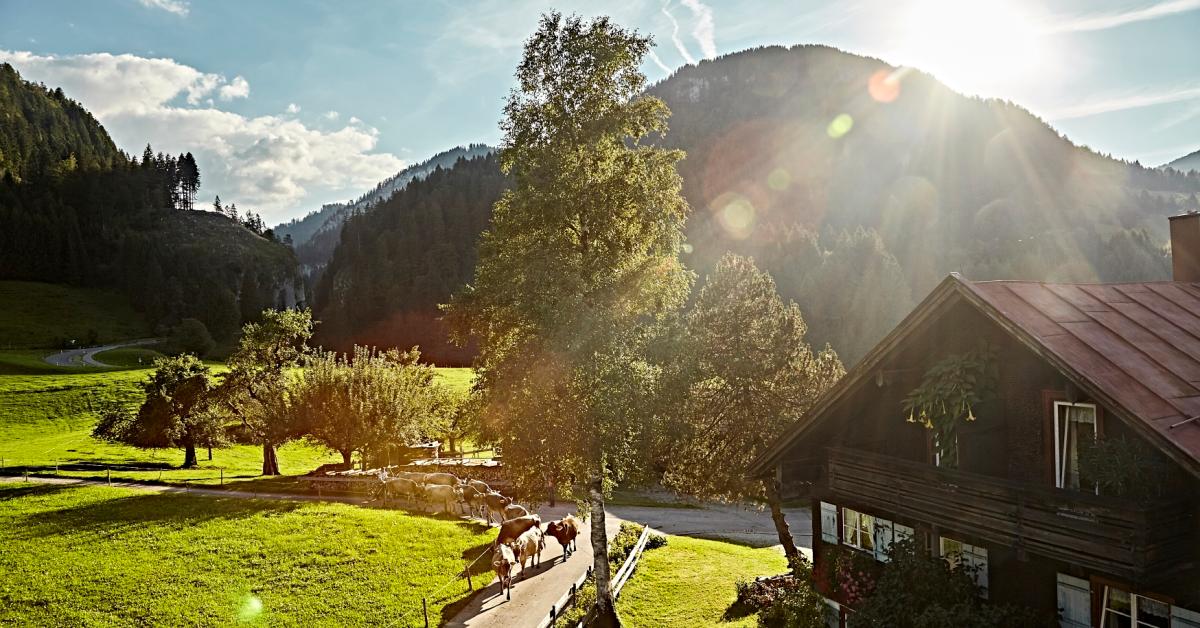 Farm holidays in the Bavarian mountains: 8 Top tips