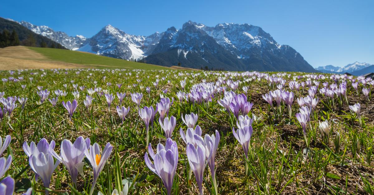 Bavaria travel | Bavaria's Official Travel Magazine for leisure and ...