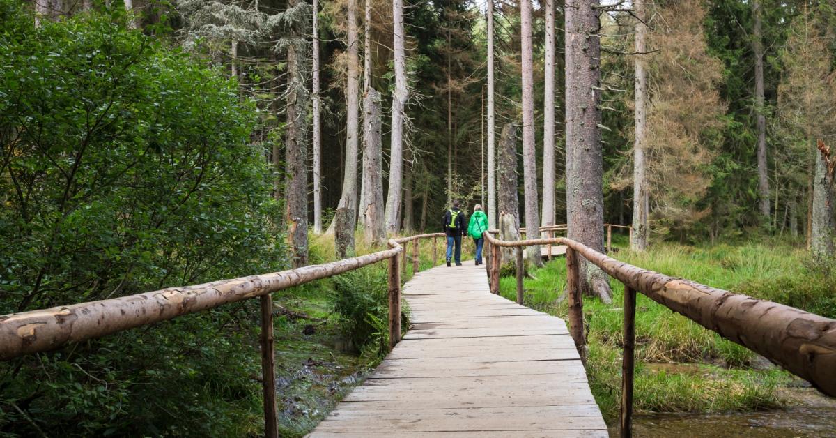 12 Tips for kids fun and action in Bavaria