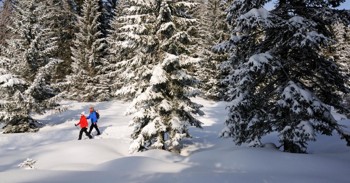 Winter hiking in Bavaria | 16 beautiful tour tips